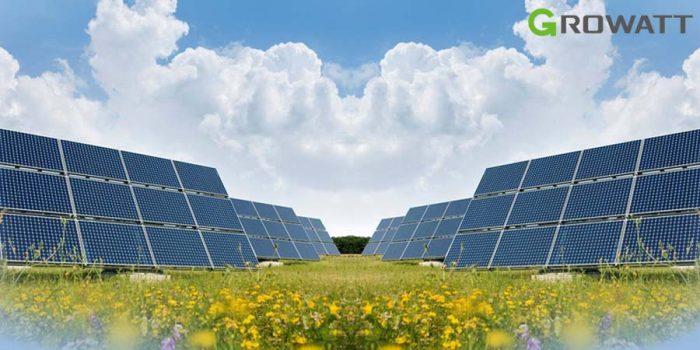 Growatt Inverters Warranty + points & conditions